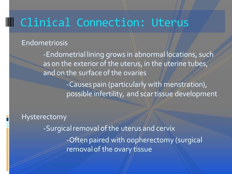 Clinical Connection Uterus Clinical Connection Uterus