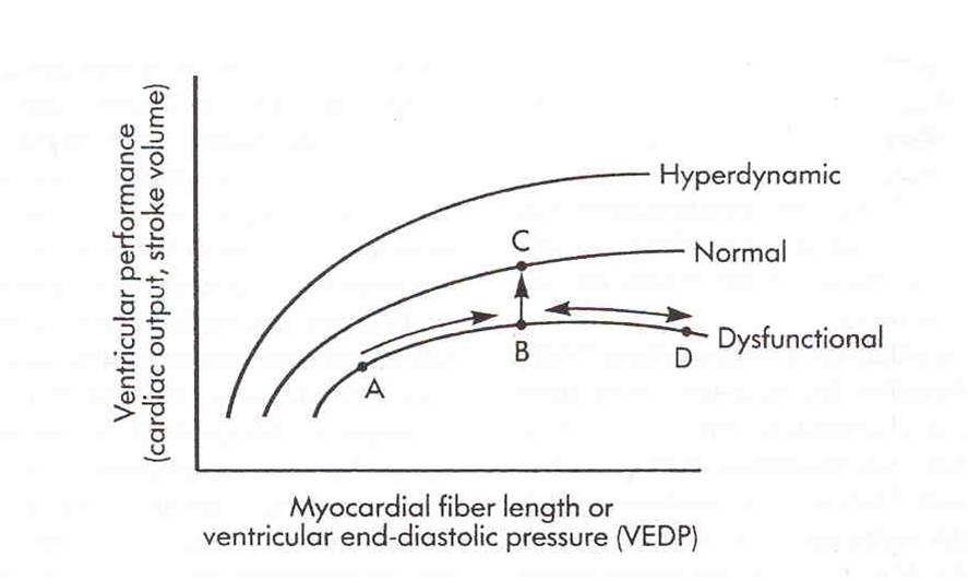 Hemodynamics