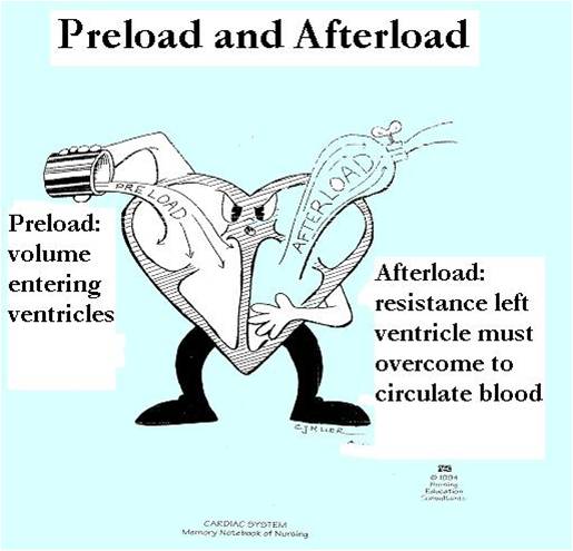 Hemodynamics